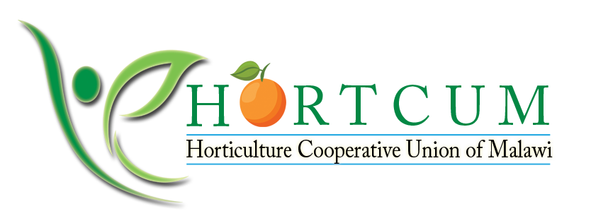 Midh Logo Tirana Nights Fahlberg & Jamek Ortega: Song Lyrics, Music